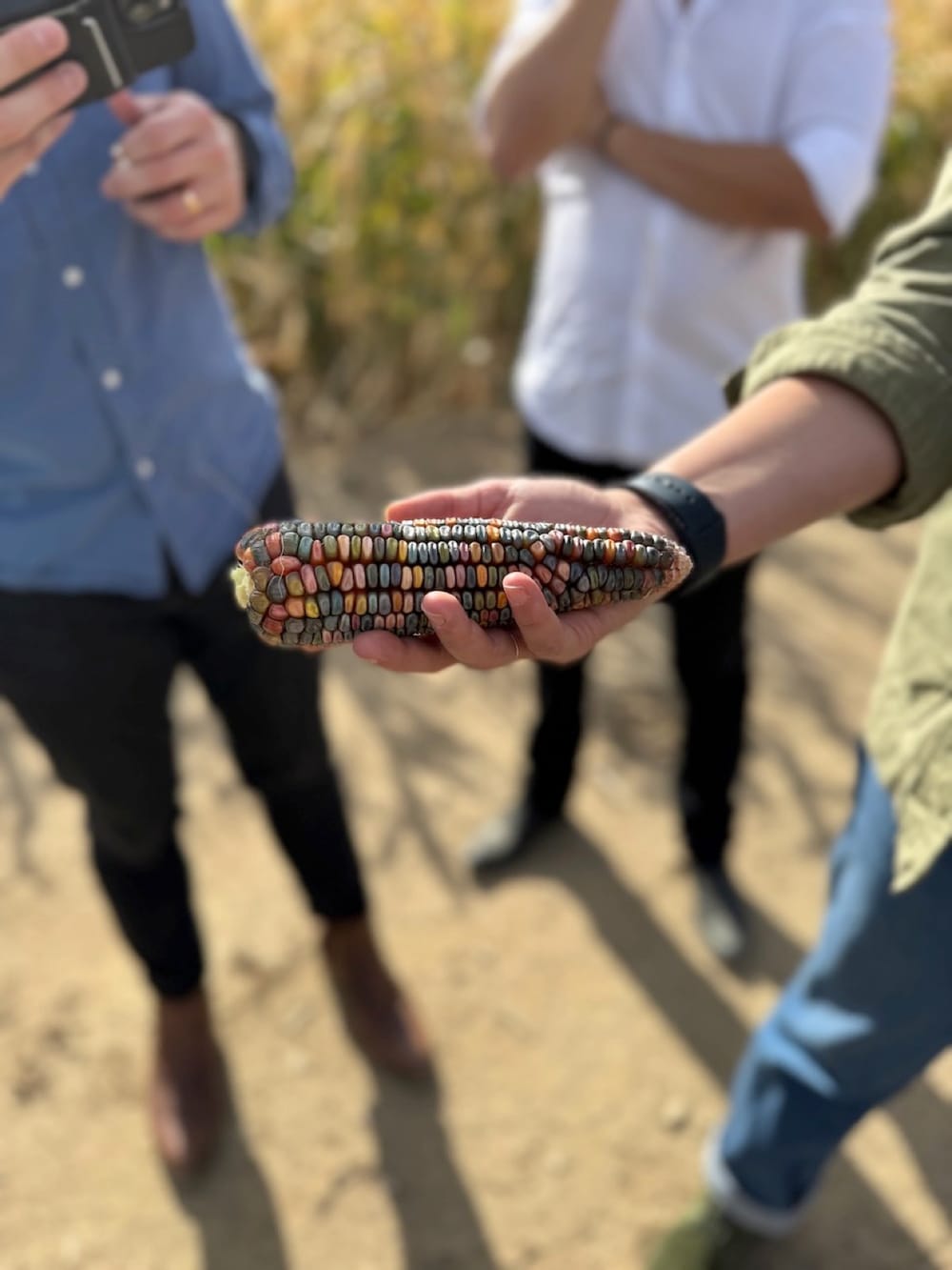 Inside Minden Mill Distilling: Terroir-Driven Nevada Spirits