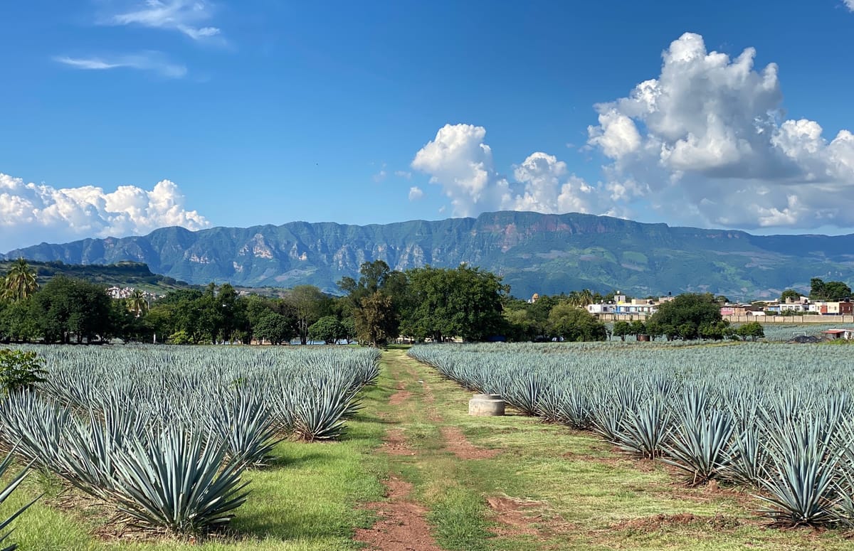 Steve Coomes - BOURBON & BANTER