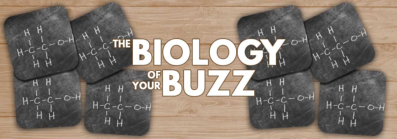 The Biology of your Buzz