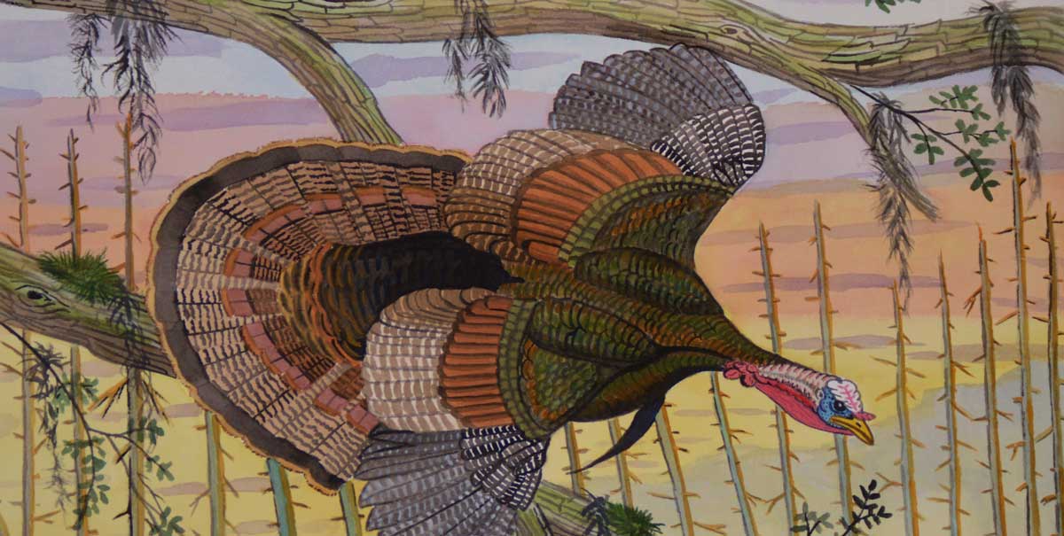 Off the Roost with Wild Turkey & Jim Turlington